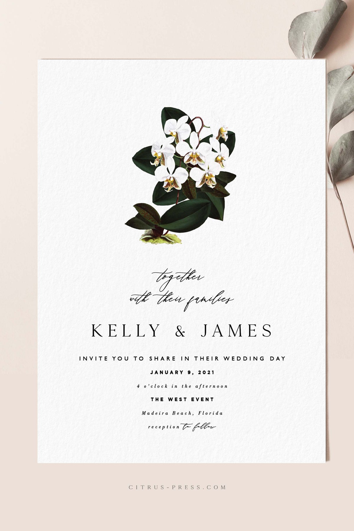 White Orchid Wedding Invitation – Citrus Press